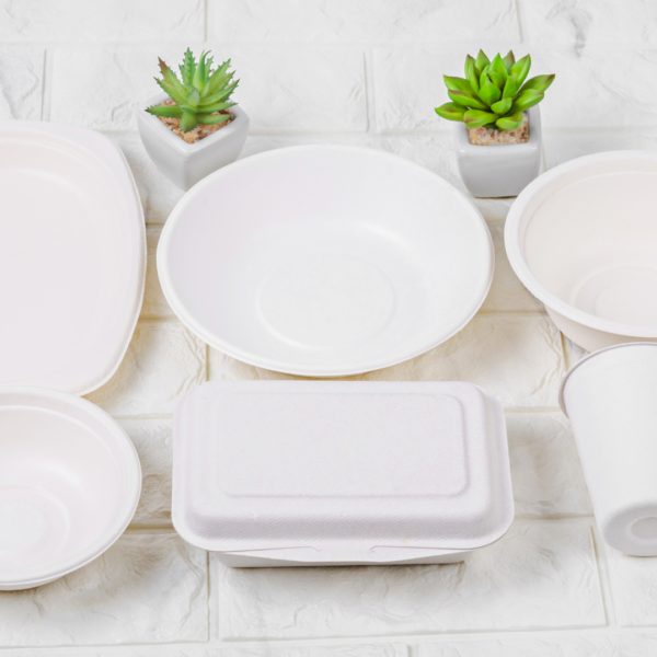 Sugarcane Packaging - Good-Bye Plastic