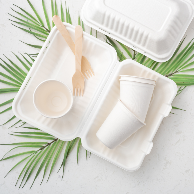 Sugarcane Packaging - Good-Bye Plastic