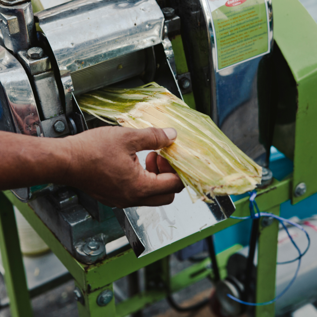 Sugarcane Packaging - Good-Bye Plastic