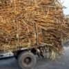 Sugarcane Packaging - Good-Bye Plastic