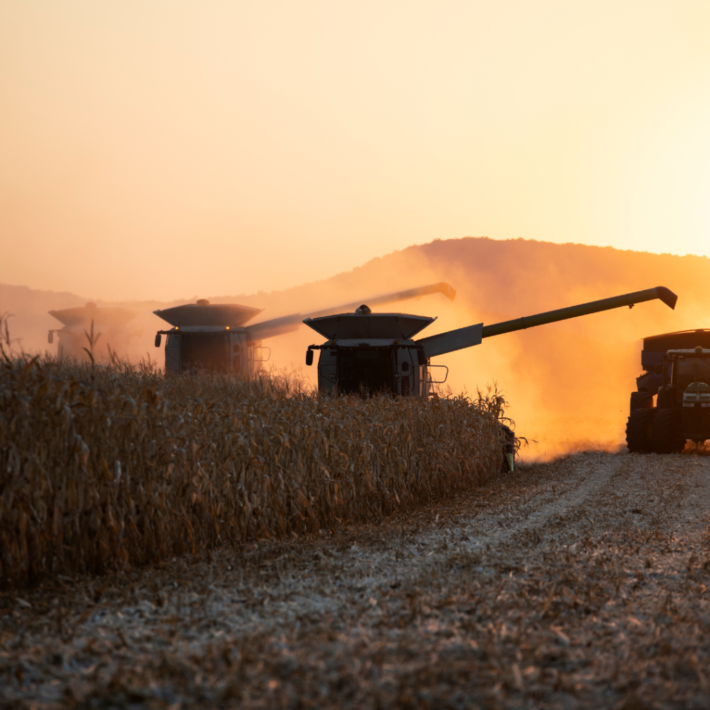 Cornstarch Packaging - Good-Bye Plastic